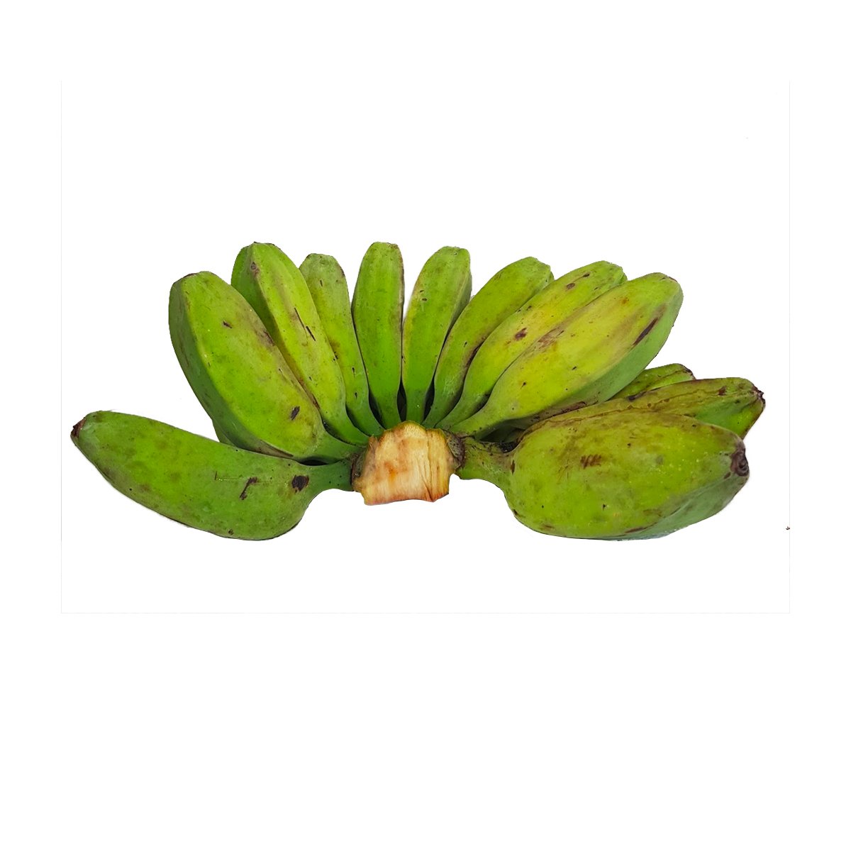 Cardava Unripe Farm To Doorstep Cardava Unripe Farm To Doorstep