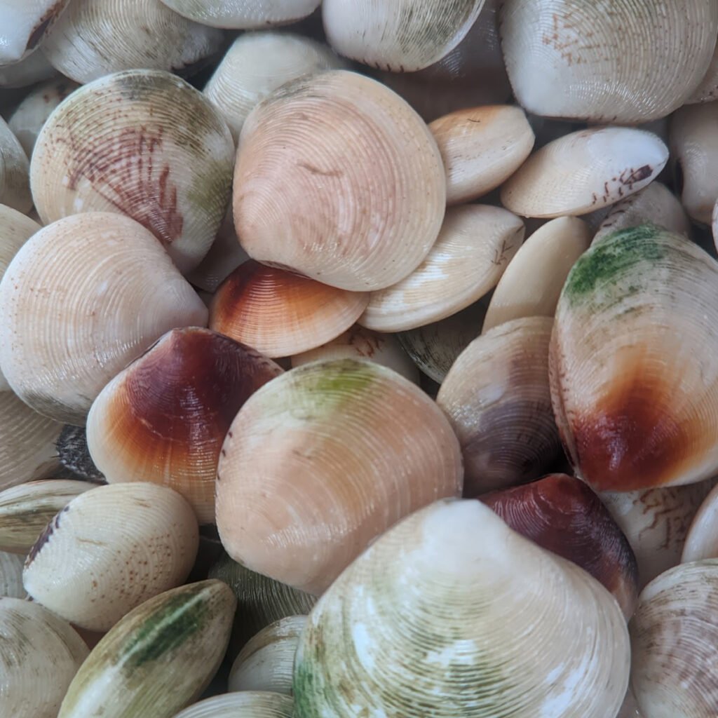 Seafood — Farm to Doorstep